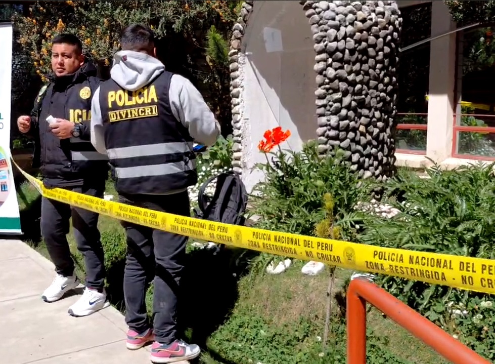 Pasco: hallan 79 plantones de amapola en Corte Superior de Justicia ...